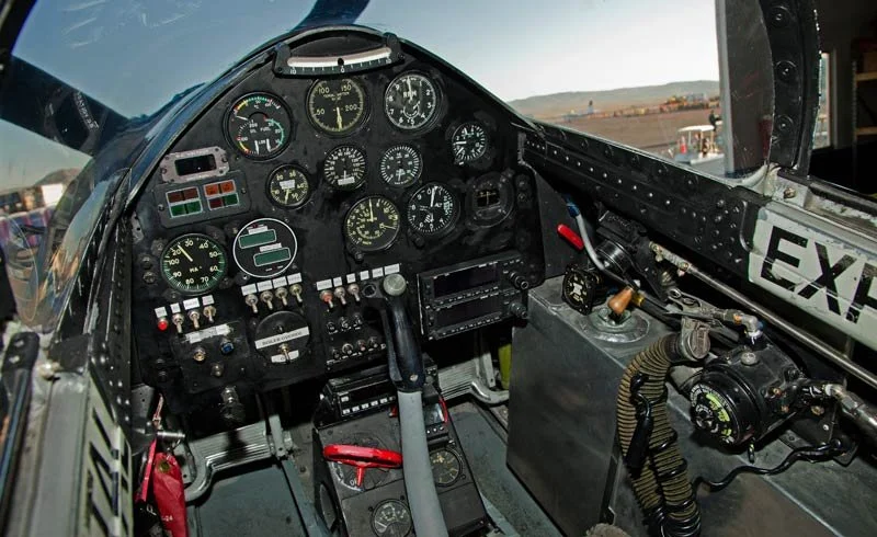 Rare Bear — Lewis Air Legends