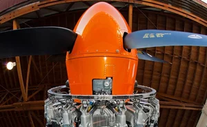 Rare Bear — Lewis Air Legends