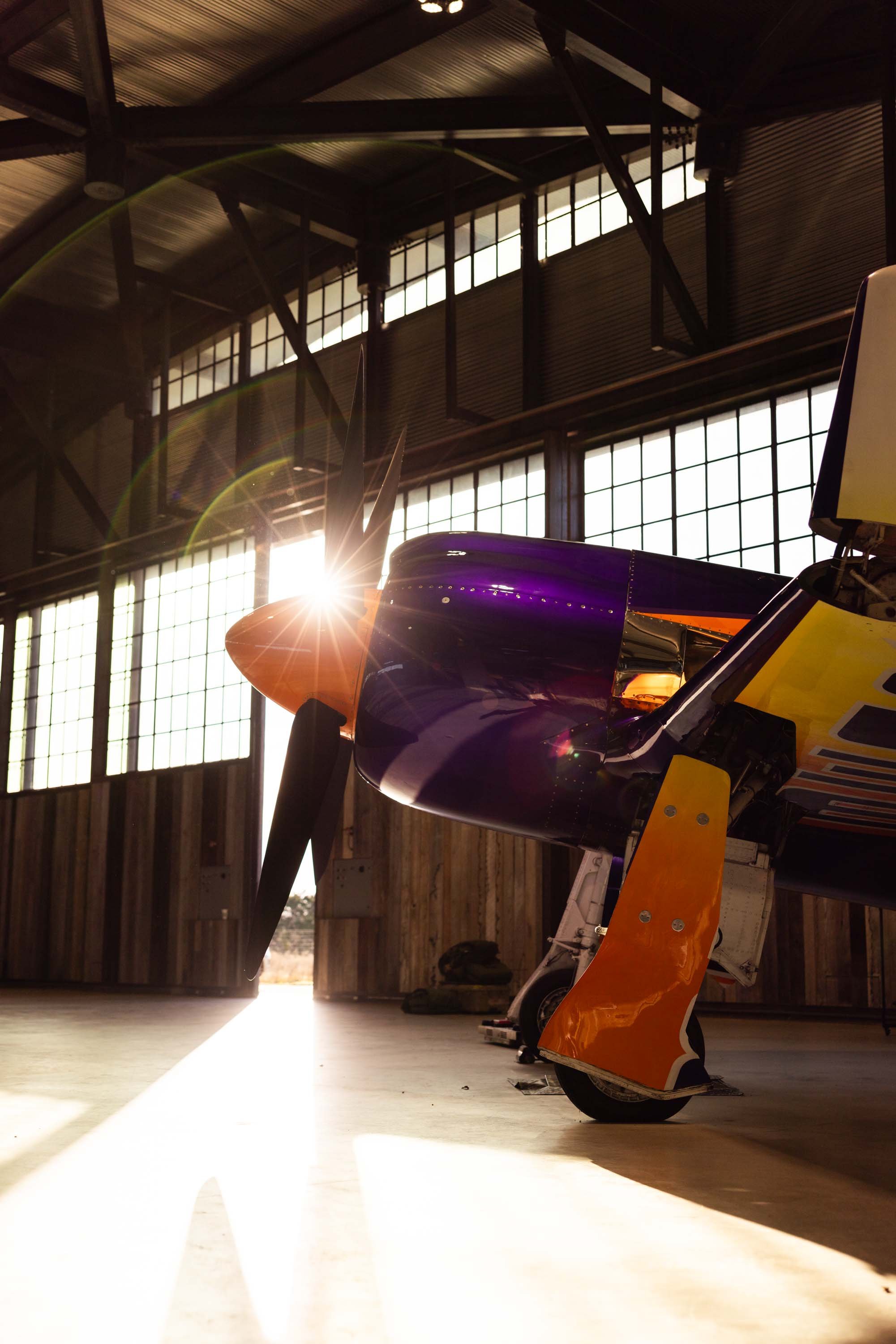 Rare Bear — Lewis Air Legends