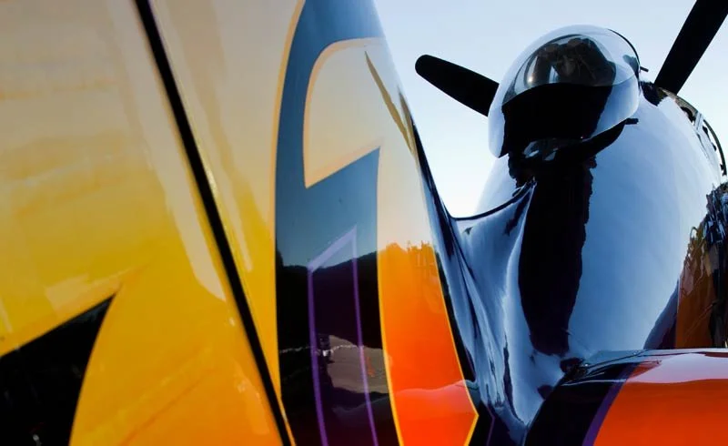 Rare Bear — Lewis Air Legends