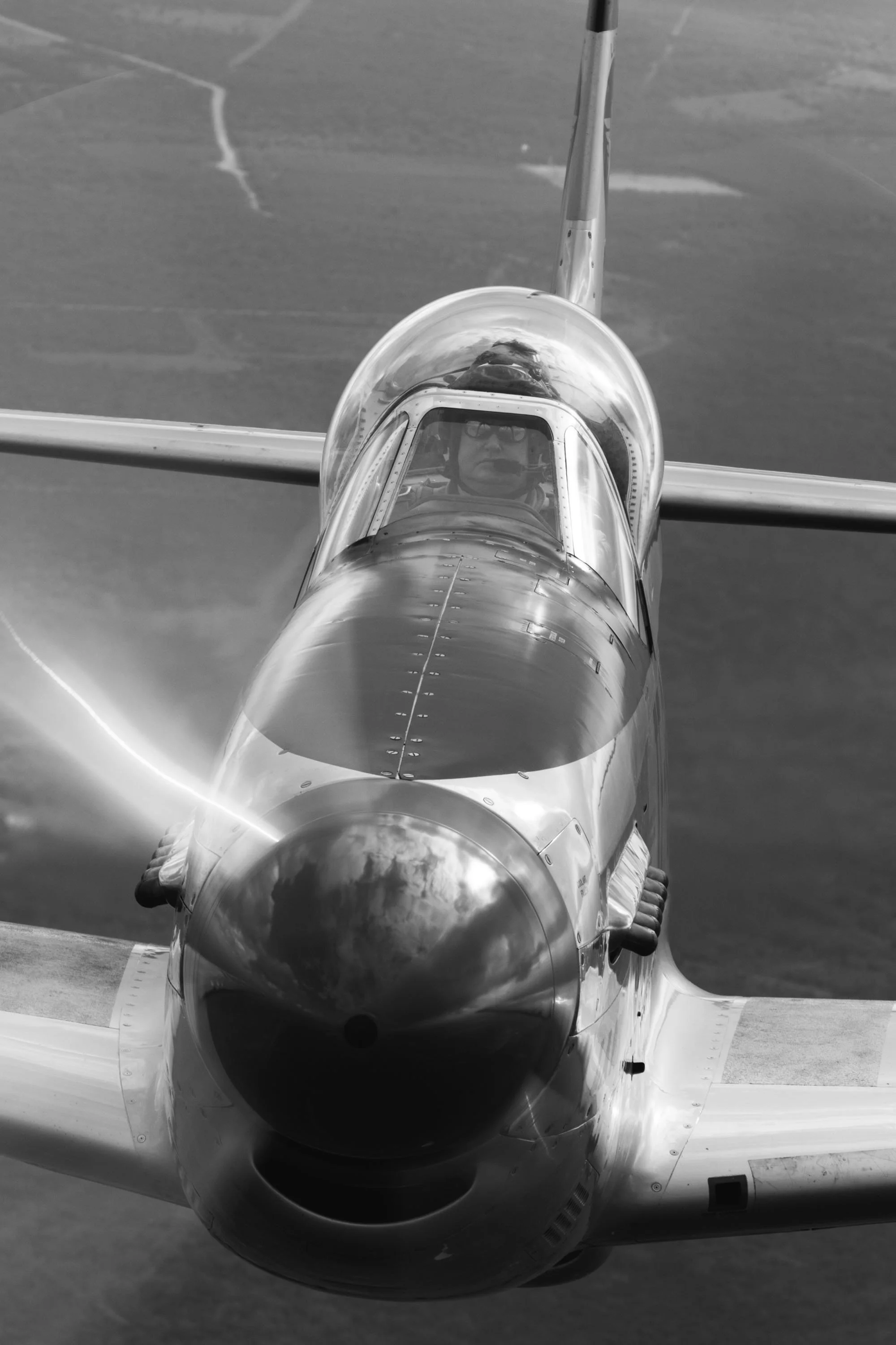 TF-51D Mustang “La Pistolera” — Lewis Air Legends