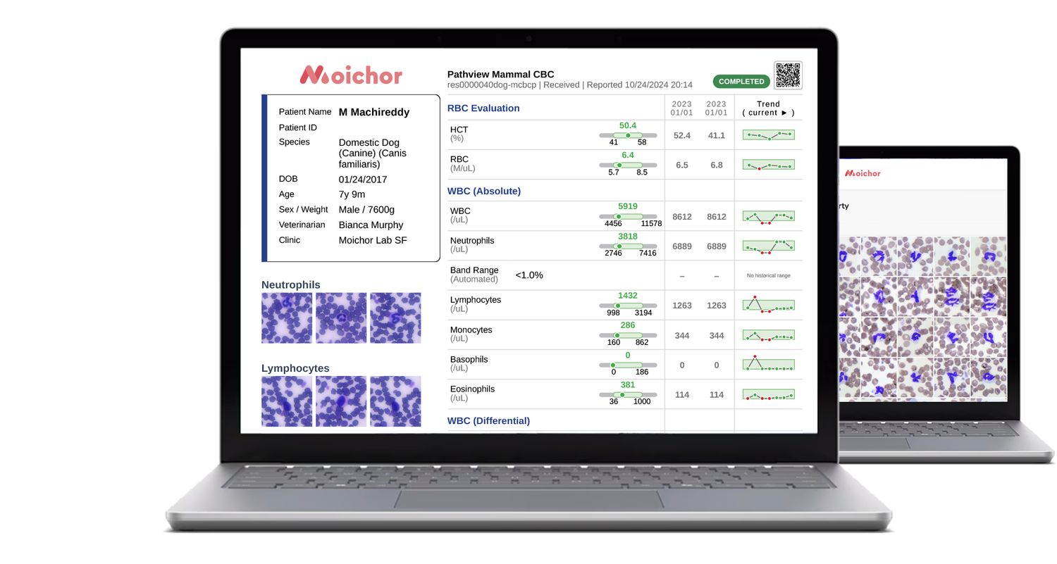 Pathview — Moichor