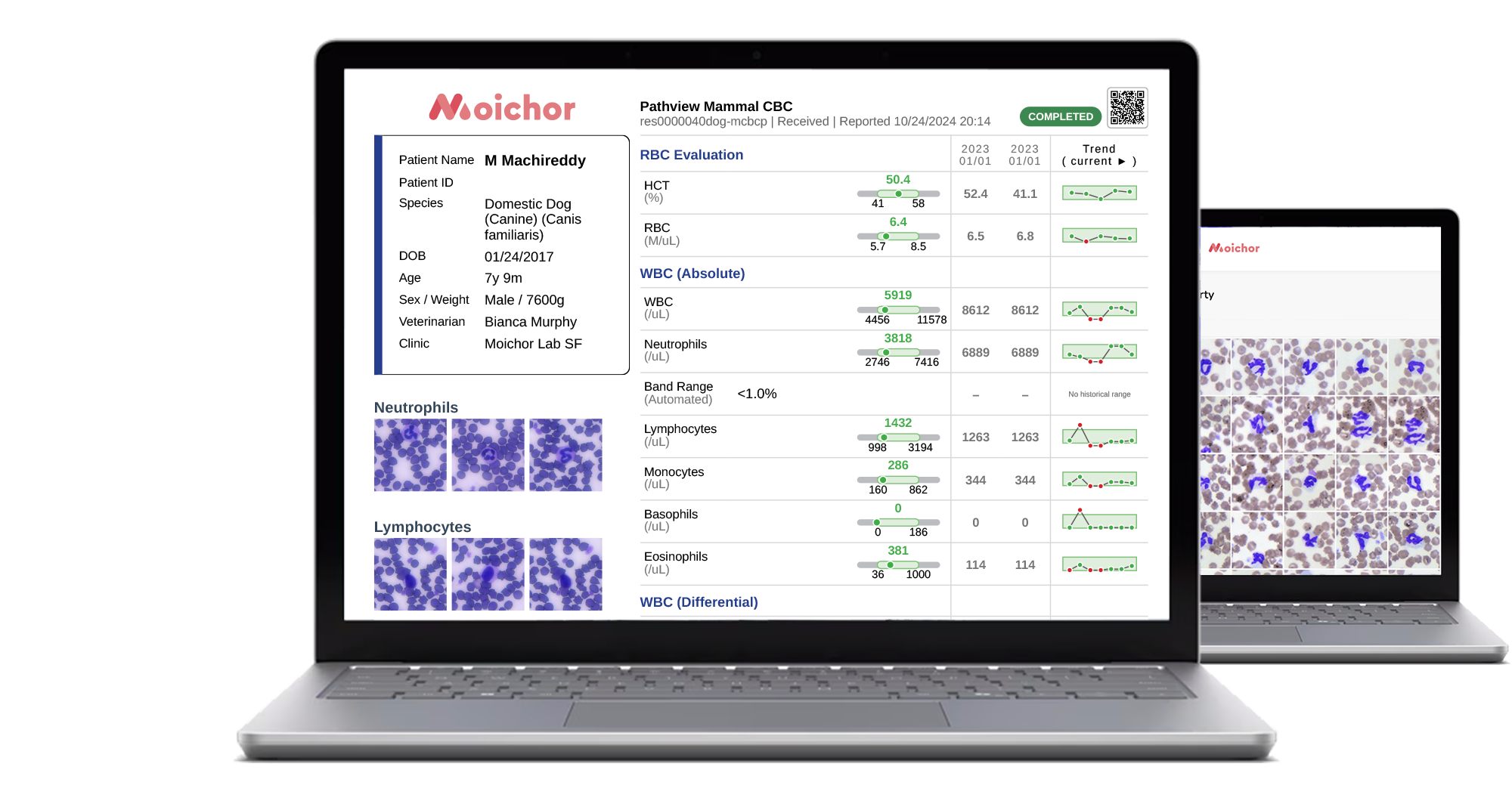 Pathview — Moichor