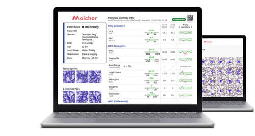 Pathview — Moichor