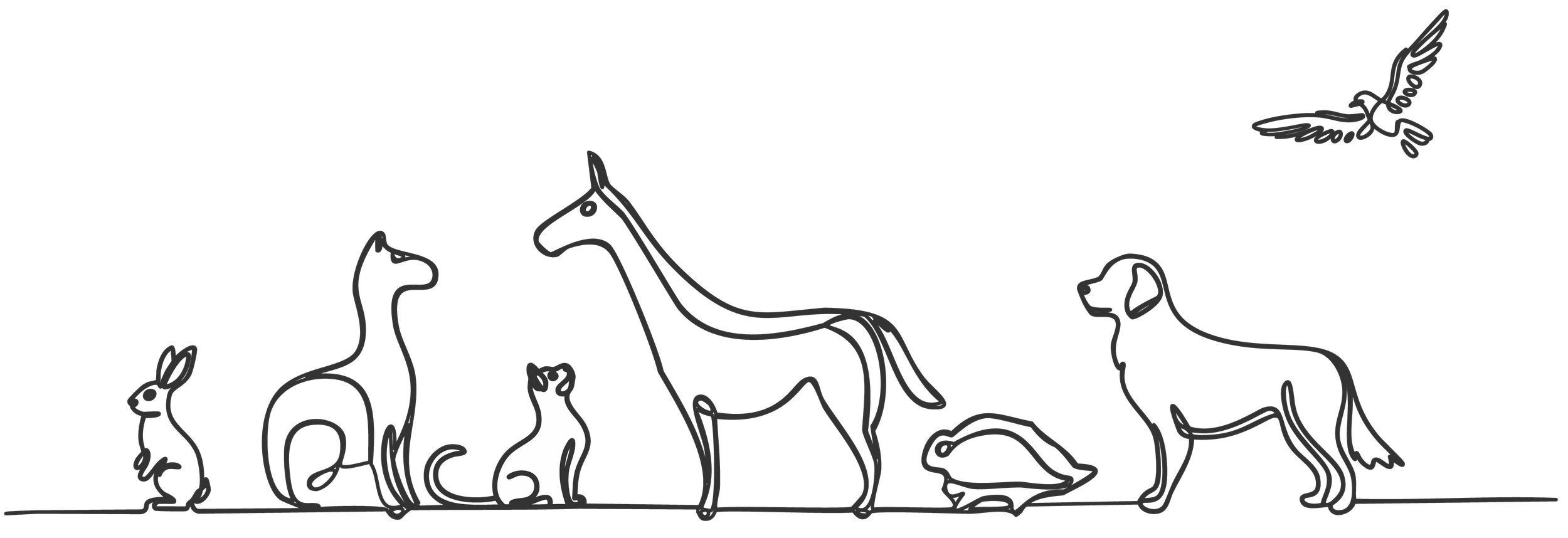 Pathview — Moichor