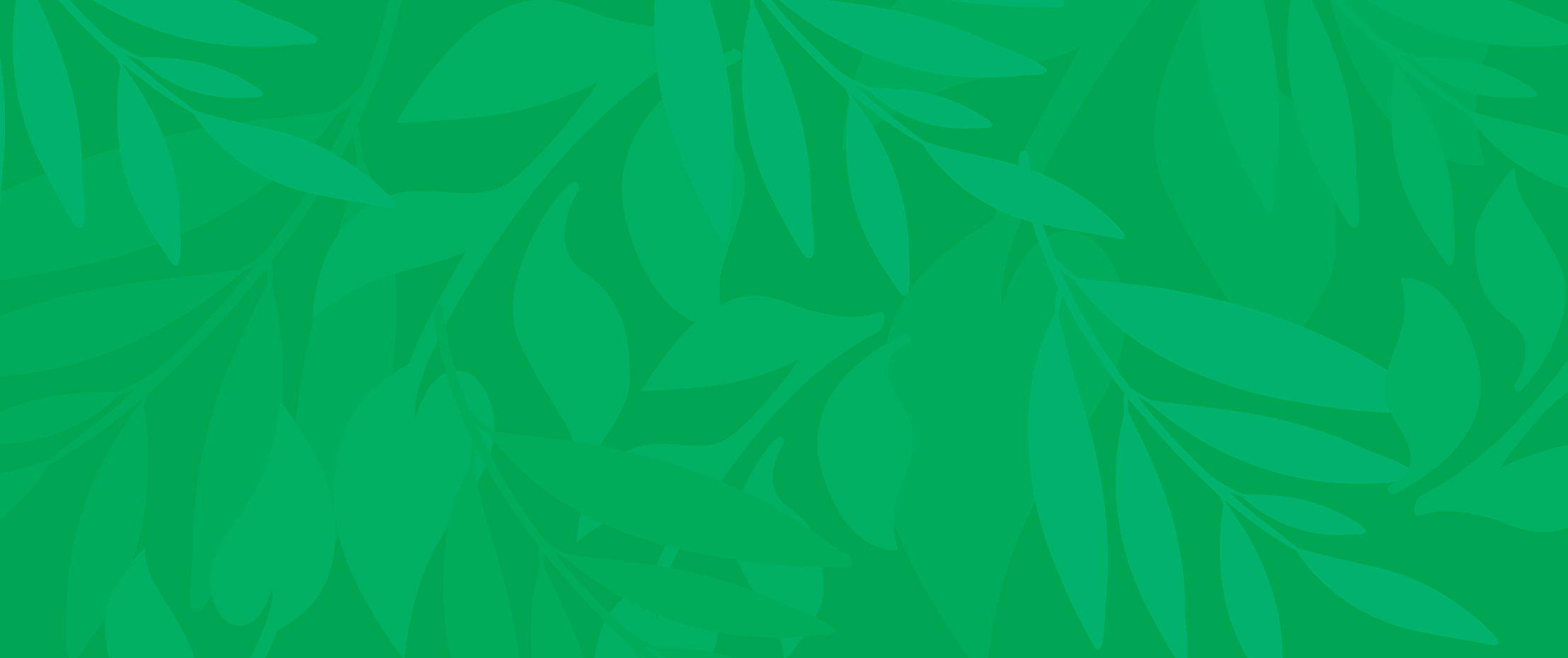 Off-grid Adventure Camps