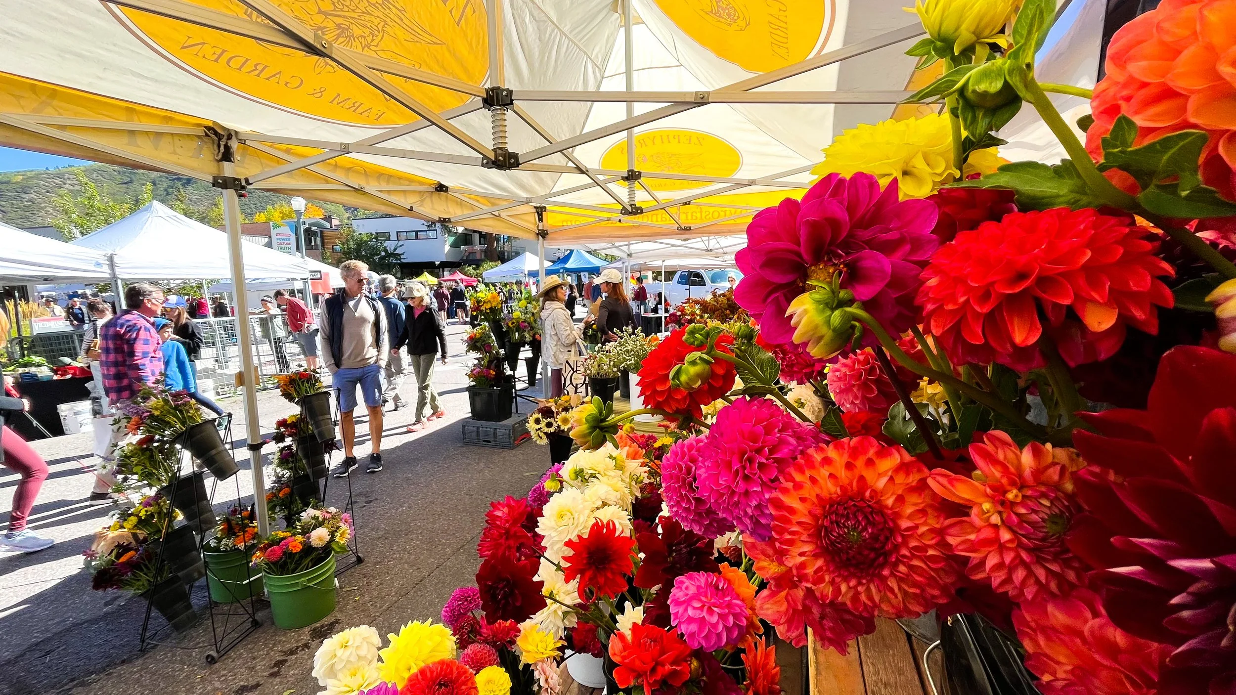 Explore Our Events - City of Aspen | Special Events