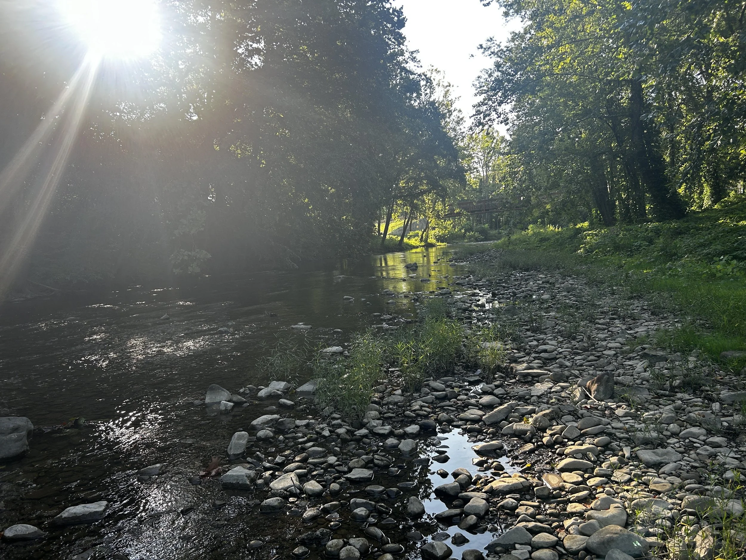 Mutual Aid & Other Resources — Appalachian Helene Response Fund