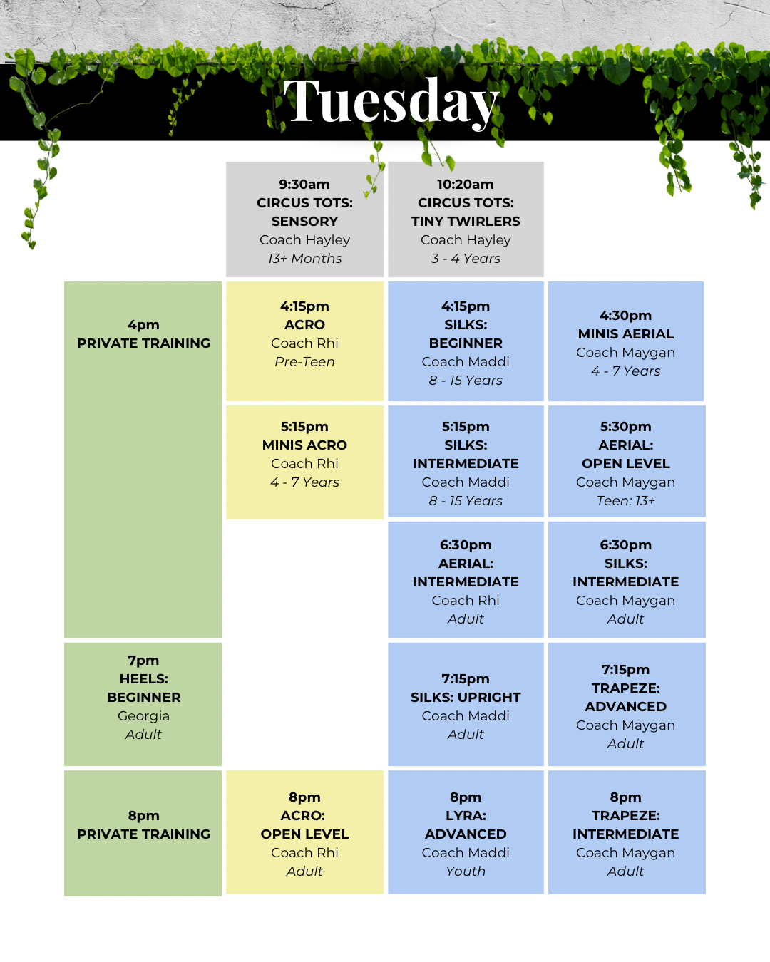 Timetable — All In Aerial
