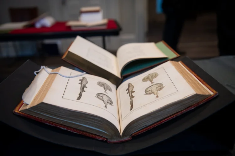 Images & Permissions — The Rosenbach Museum & Library