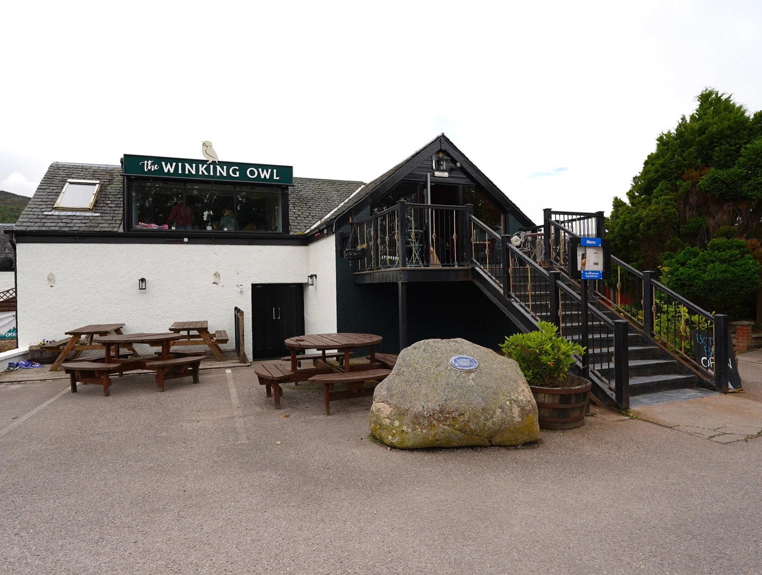 The Winking Owl - Bar and Restaurant | Discover, Dine, Enjoy Today