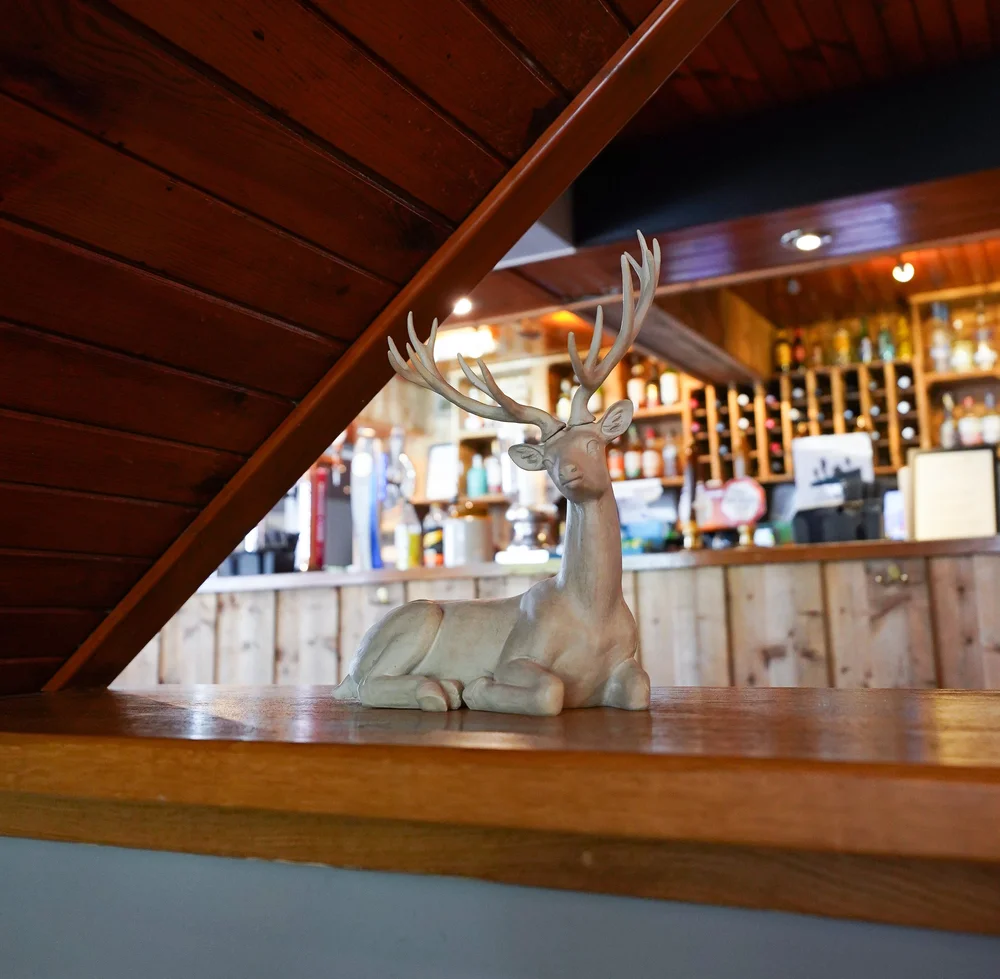 The Winking Owl - Bar and Restaurant | Discover, Dine, Enjoy Today