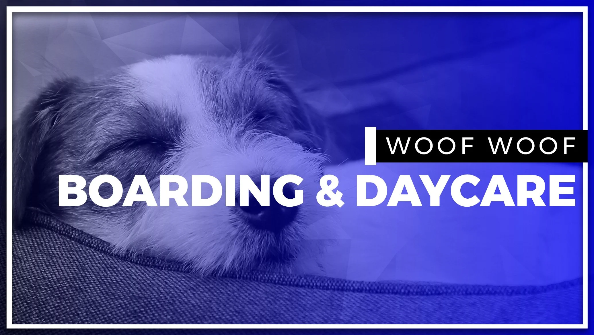 Woof Woof | Dog Boarding - Training - Daycare - Swimming