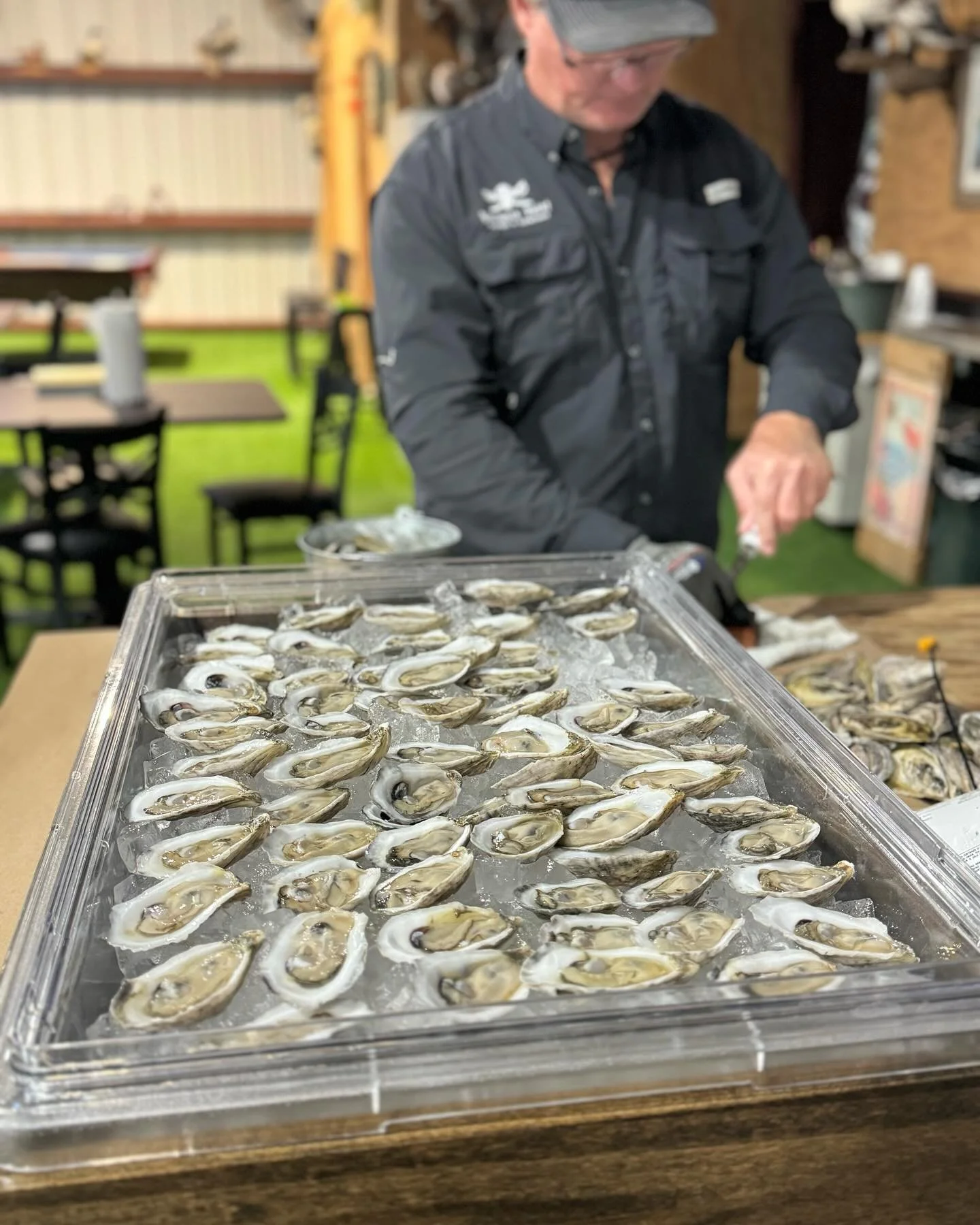 Lodging — Back Lakes Lodge