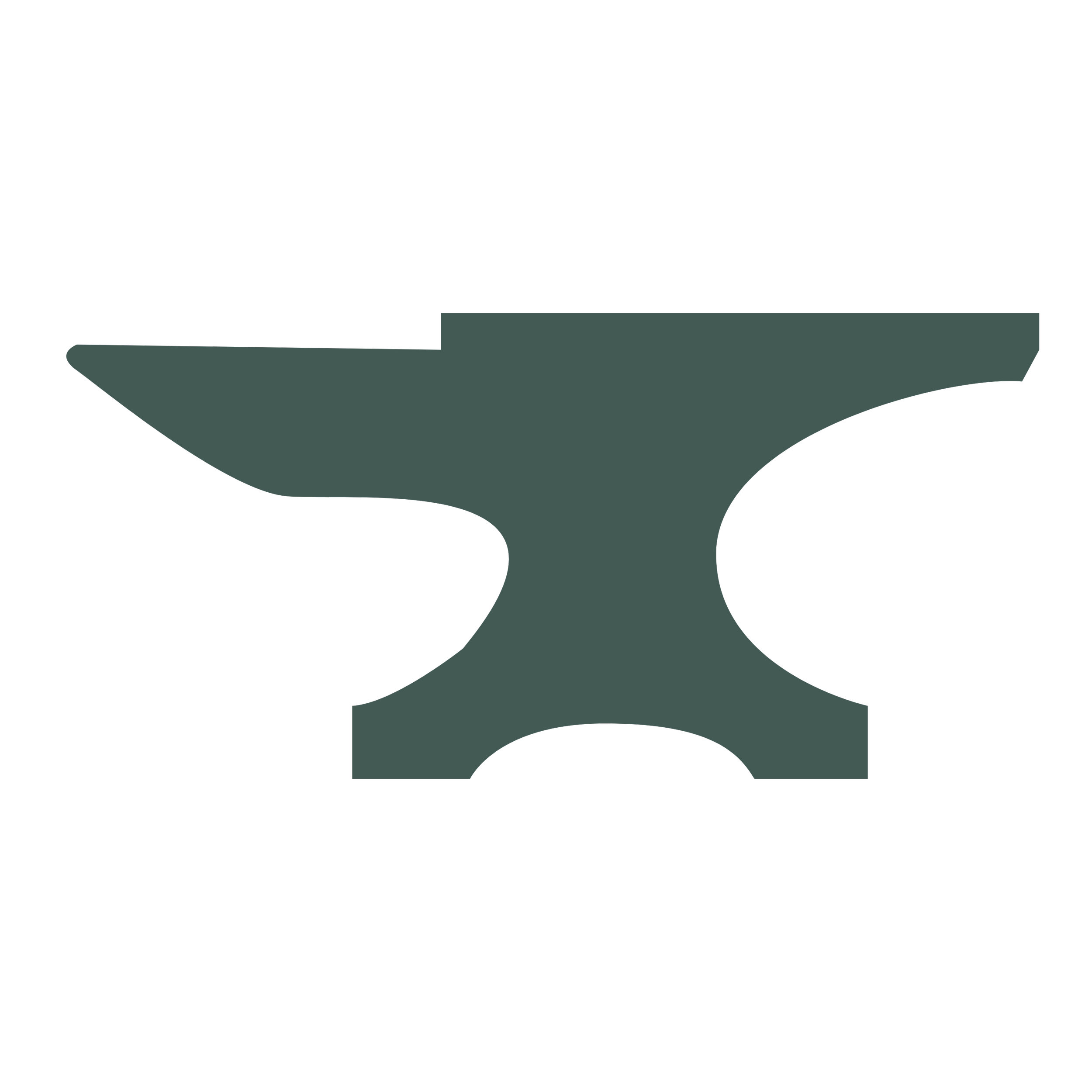OUR MISSION — The Forge School