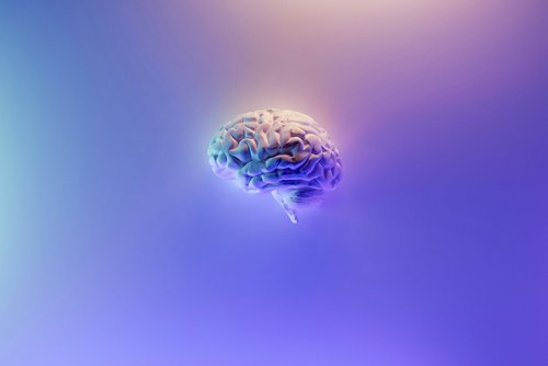 Theta Neurotech | Epilepsy