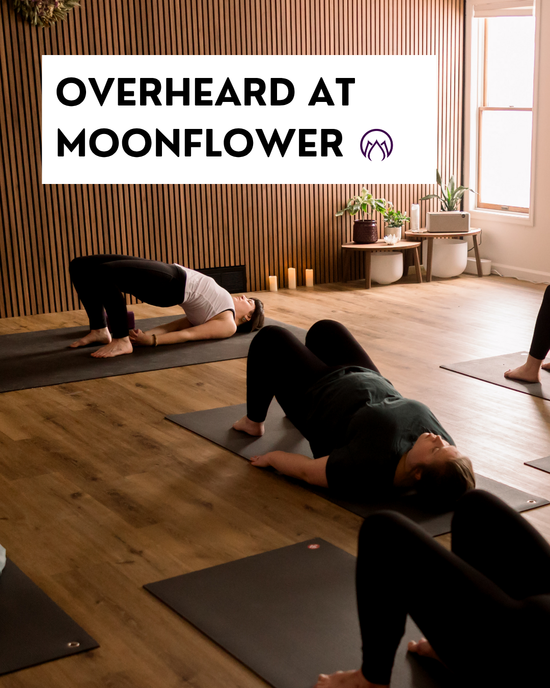Moonflower Studio