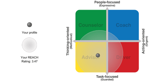 Reach Profile Personality Test - REACH LX