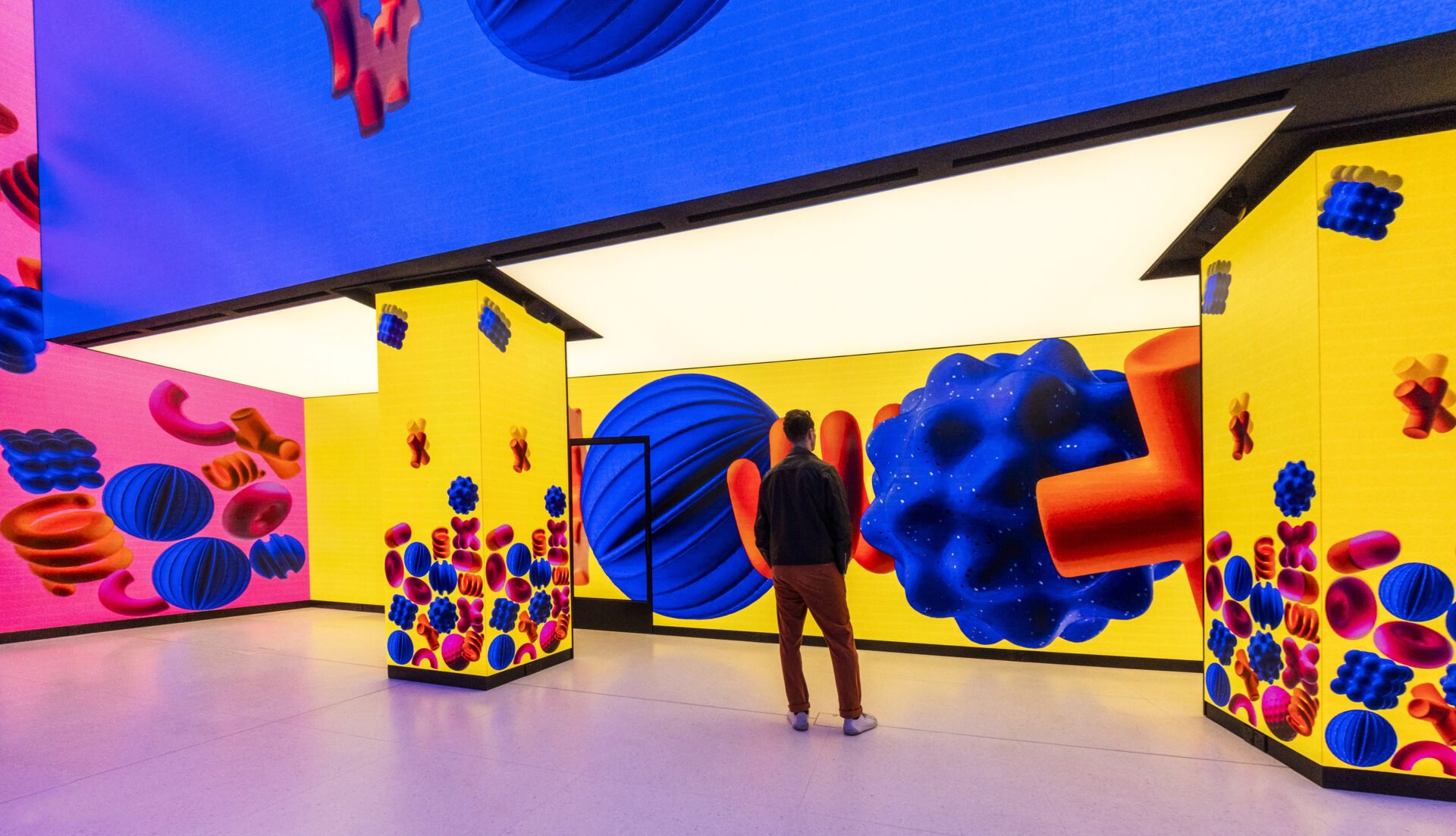 The Six Most Instagrammable Stores and Displays of 2025 — Blue Butterfly