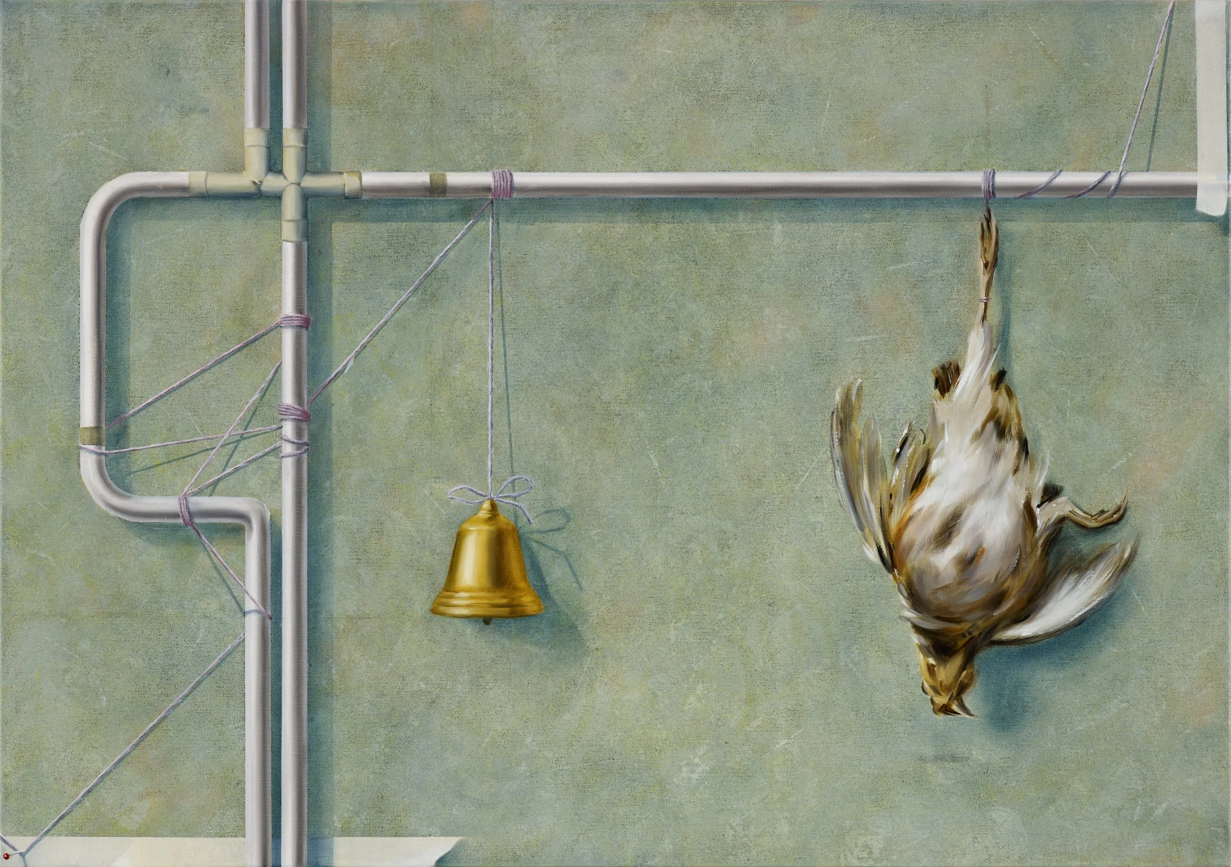 Tommy Harrison — Pipeline