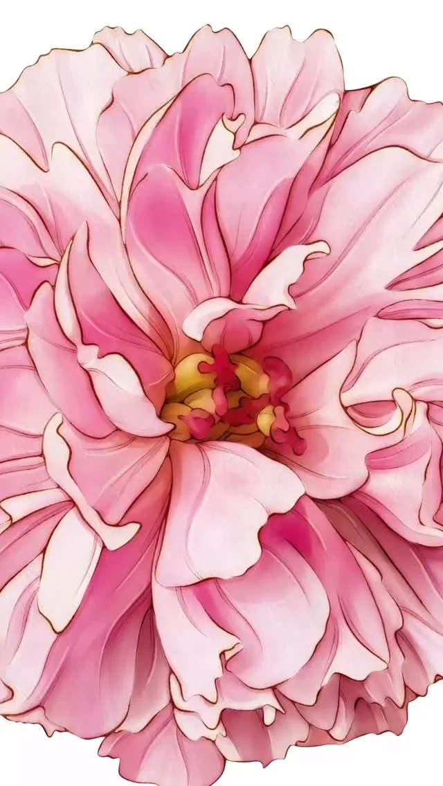 Custom Branding and Design Assets | Avalon Rose Design