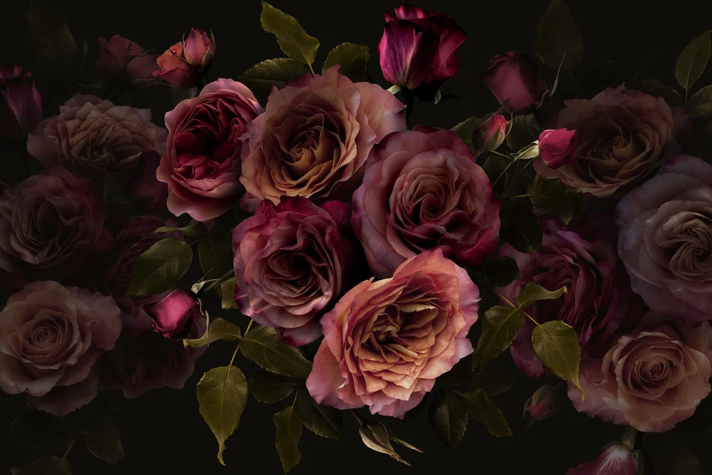 Custom Branding and Design Assets | Avalon Rose Design