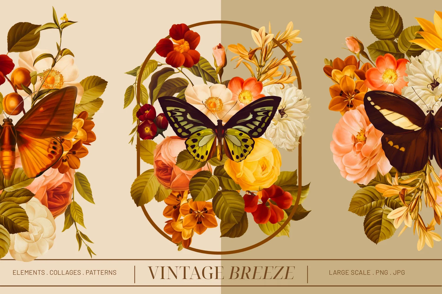 Custom Branding and Design Assets | Avalon Rose Design