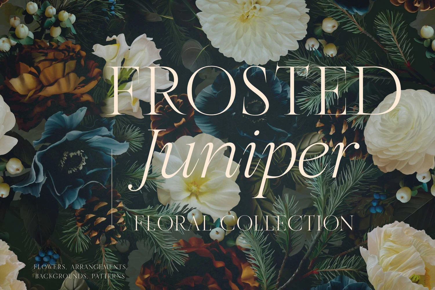 Custom Branding and Design Assets | Avalon Rose Design