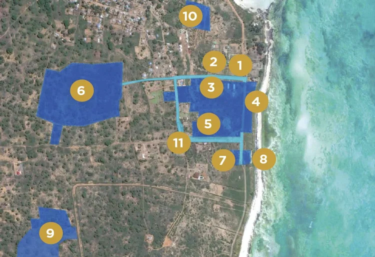 Campus — UNIVERSIDADE ÍRIS