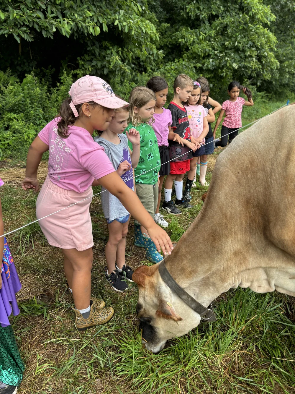 Programs — Farm & Forest Education Center
