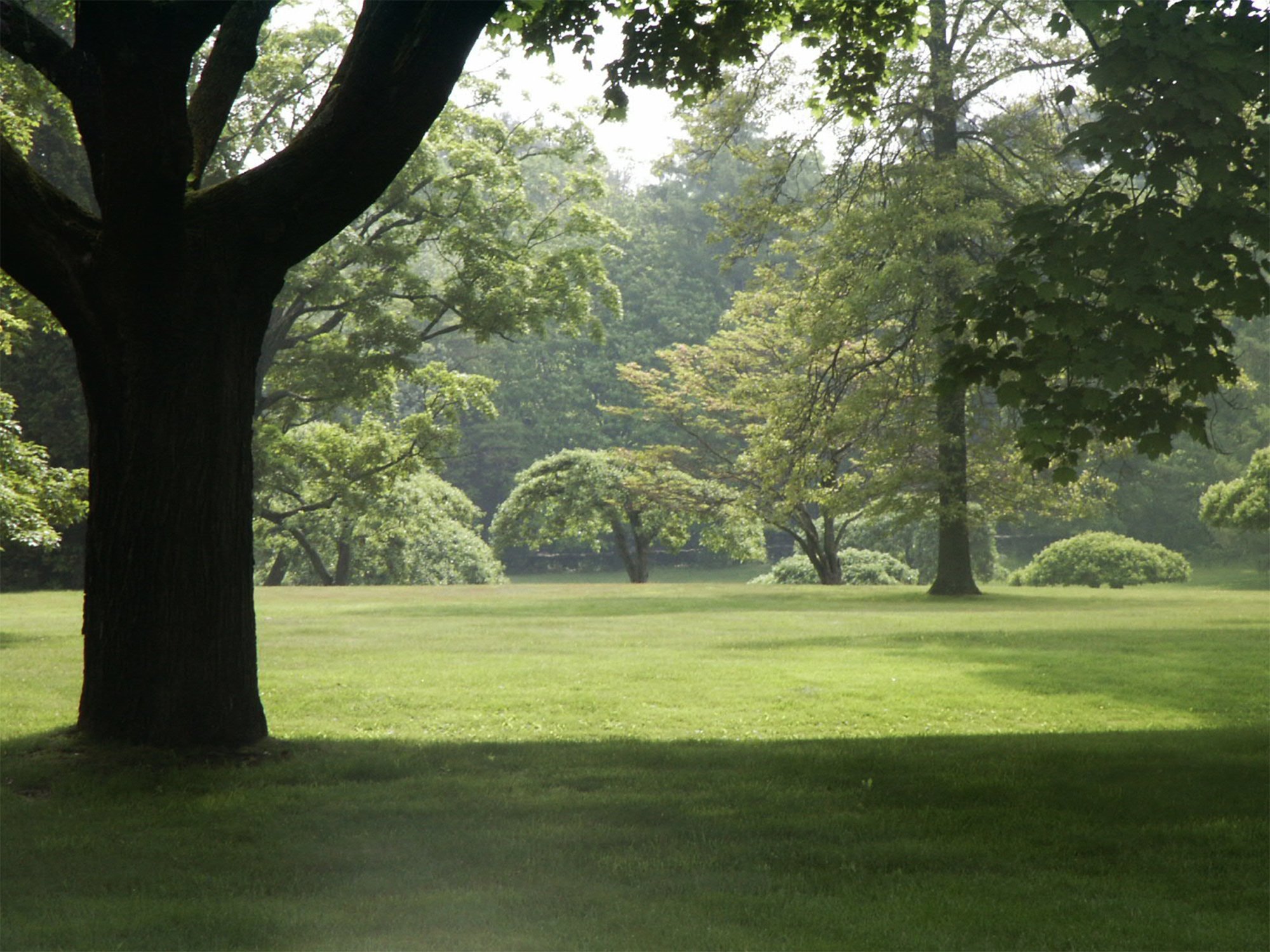 Irwin Park Master Plan, New Canaan, CT — Richter & Cegan, Landscape ...