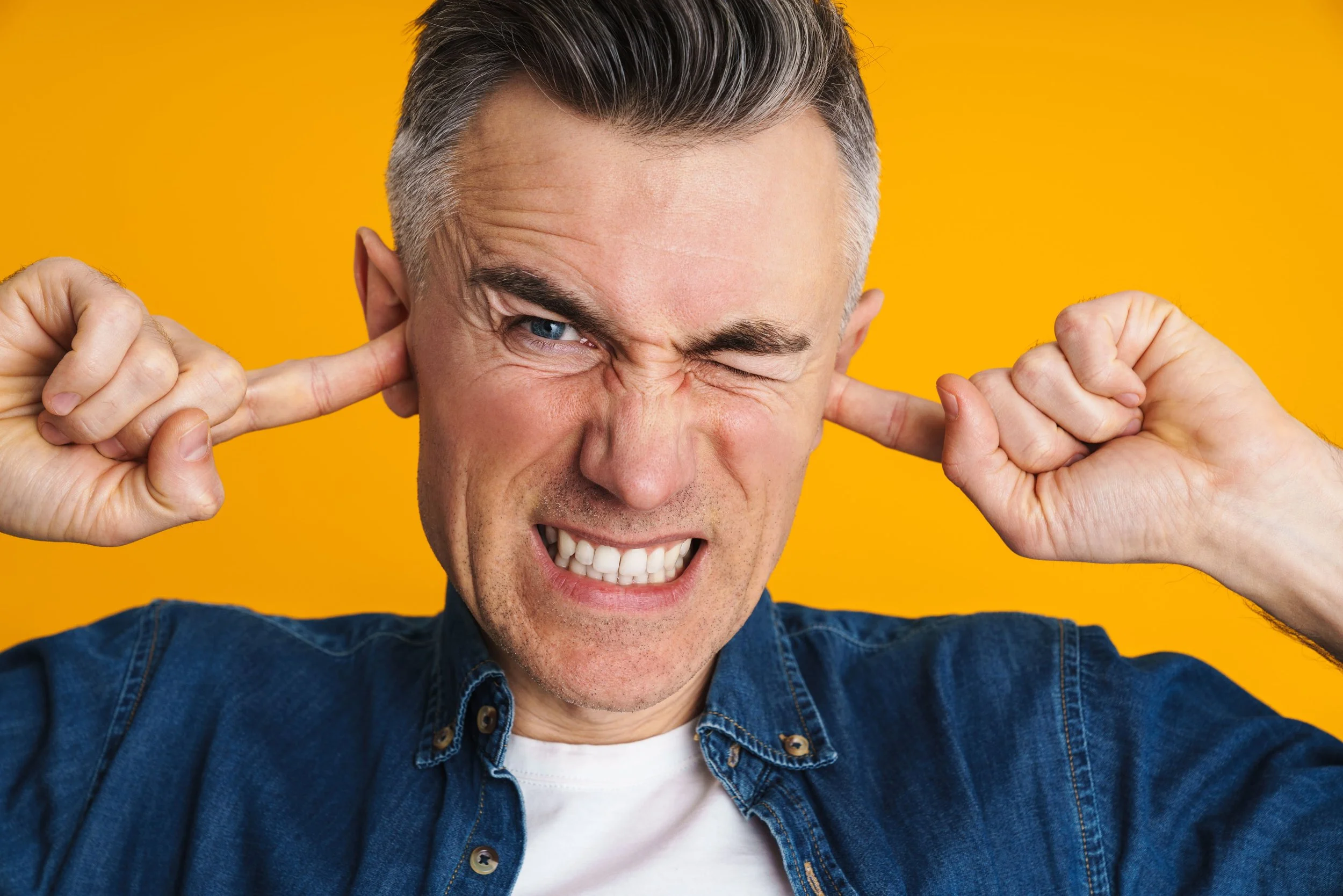 Avoid the Ringing: How Loud Noise Causes Tinnitus — Adirondack Audiology