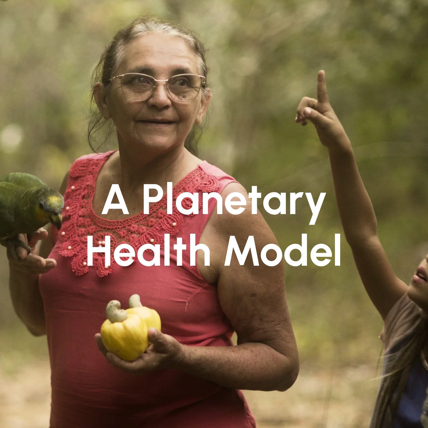 About Health In Harmony — Health In Harmony