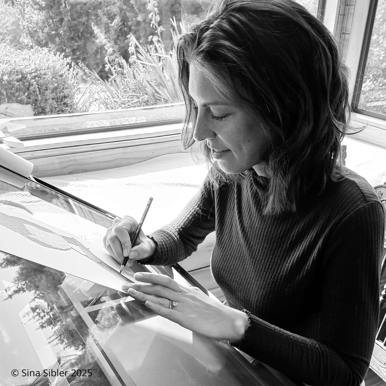 Gallery — Sina Sibler Art