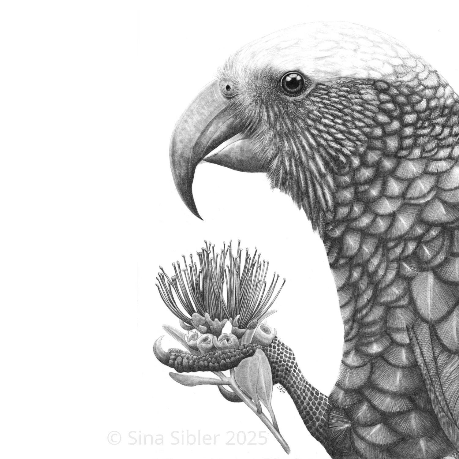 Gallery — Sina Sibler Art