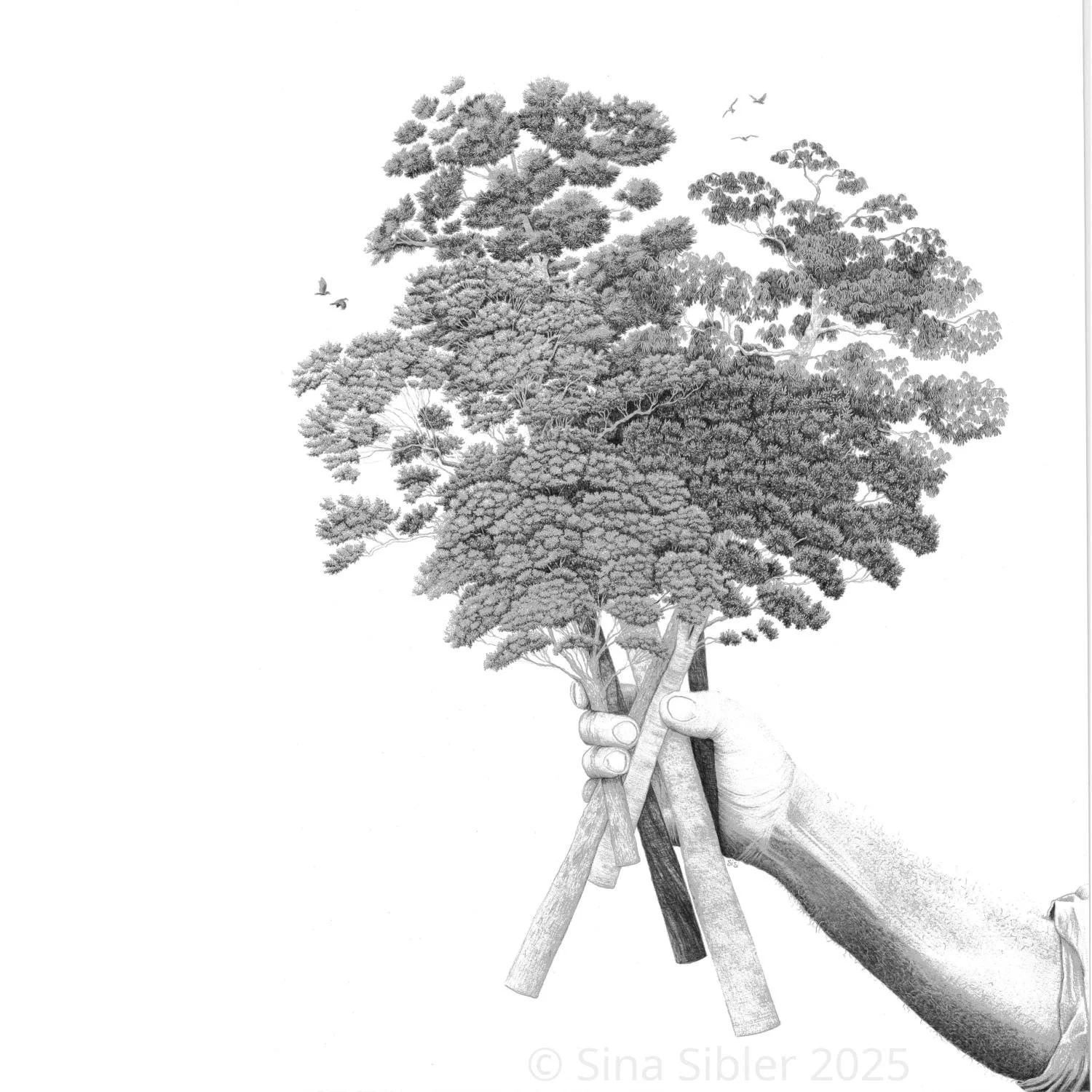 Gallery — Sina Sibler Art