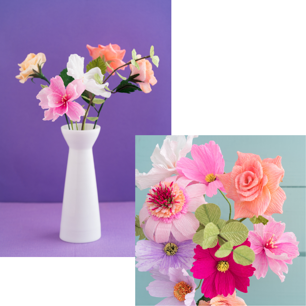 Shop — Mayflower Designs