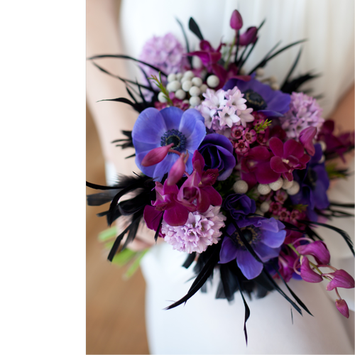 Shop — Mayflower Designs