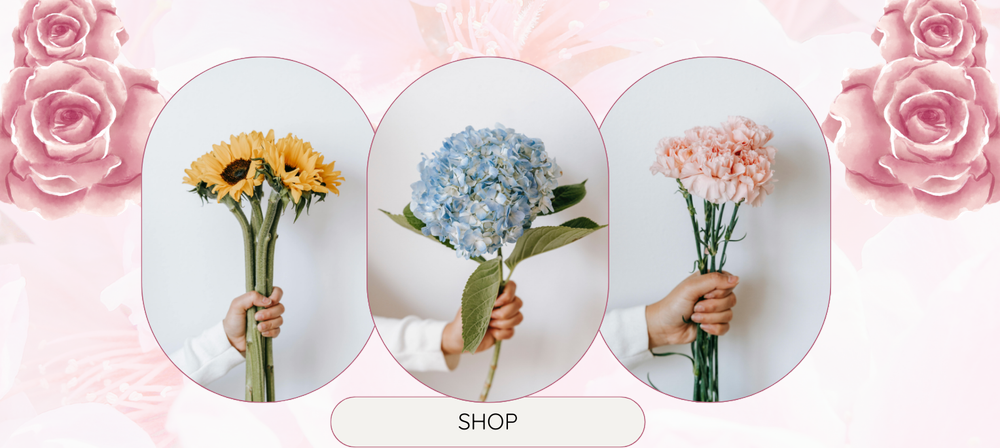Shop — Mayflower Designs