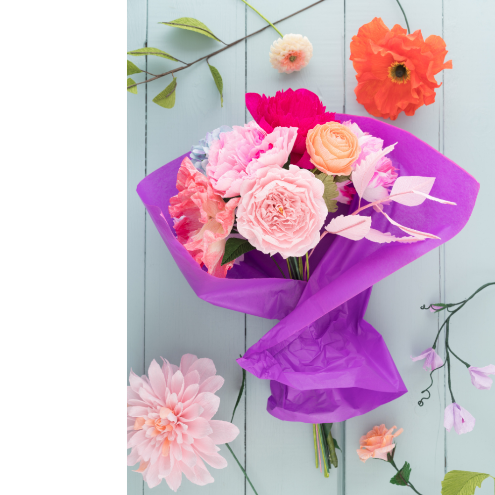 Mayflower Designs