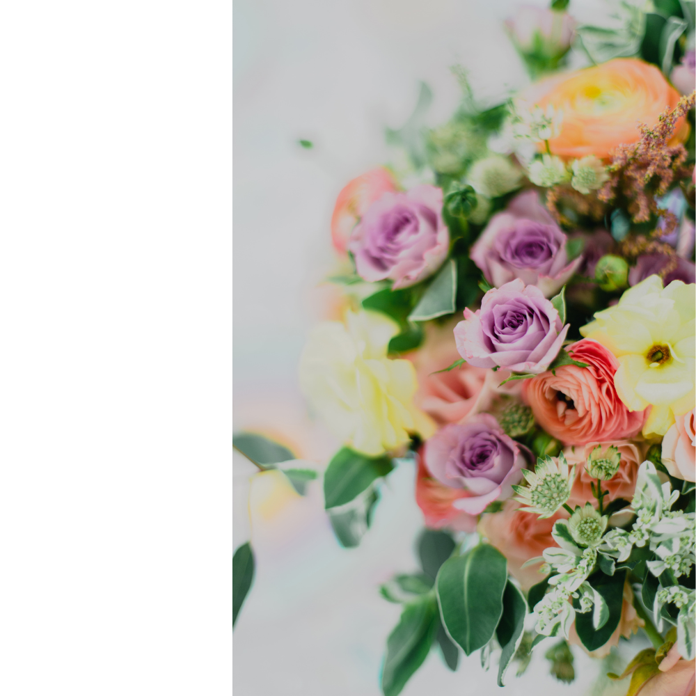 Shop — Mayflower Designs