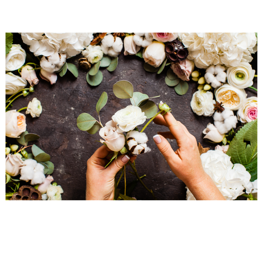 Mayflower Designs