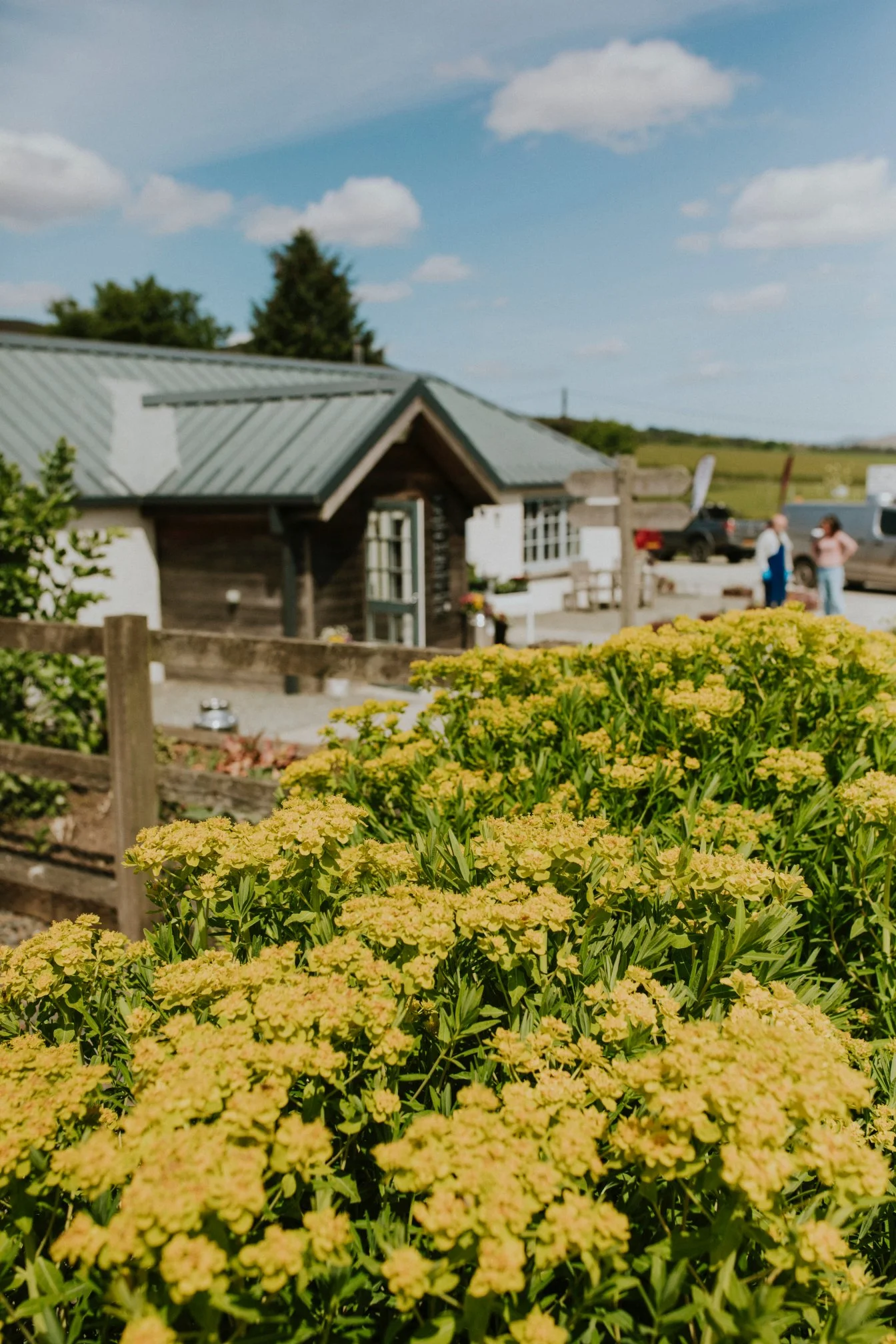 The Barn | Experience Food Rooted in the Seasons — Errington's Barn