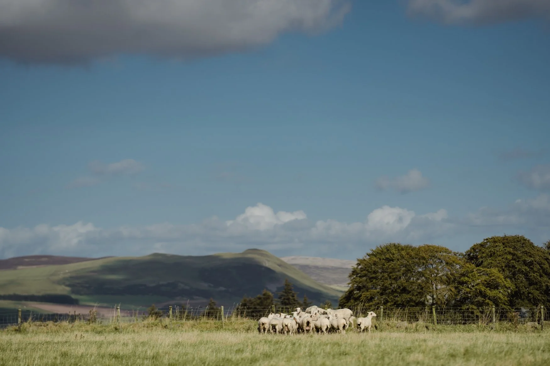 Our Lanarkshire Farm — Errington's Barn