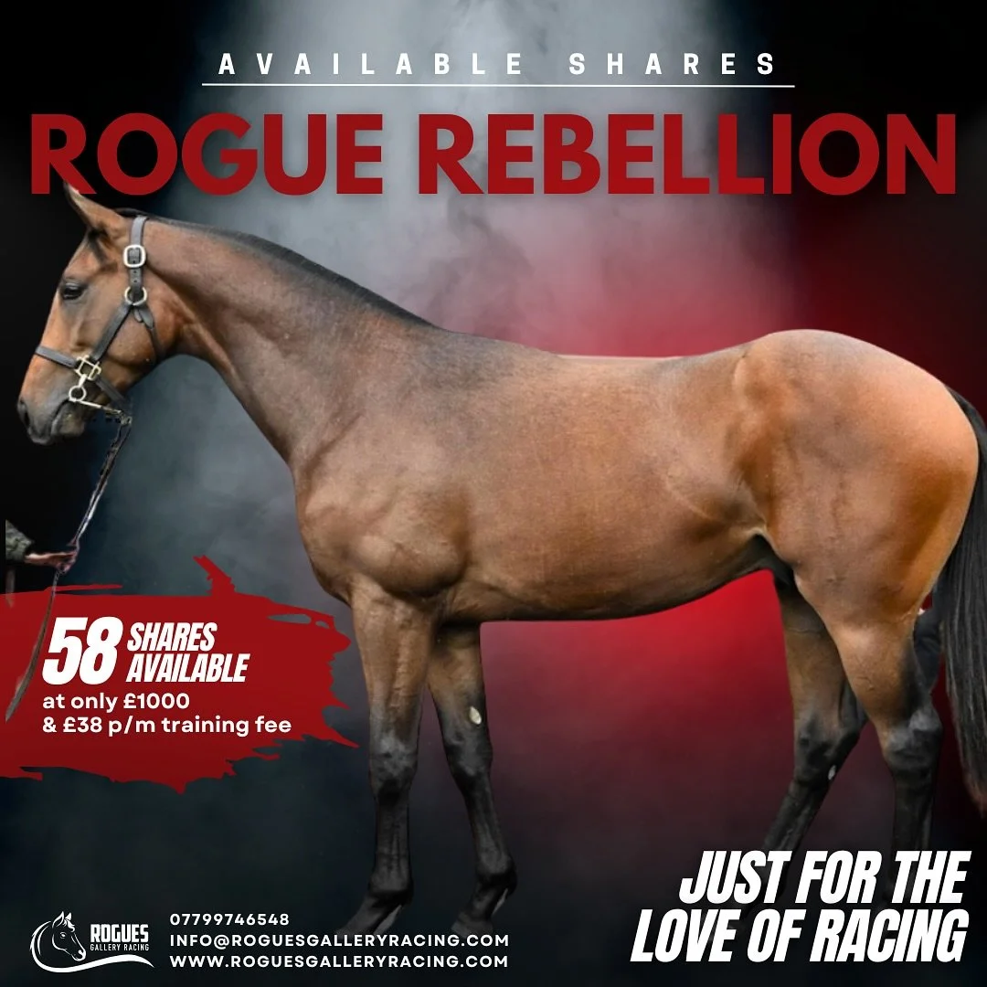 Rogues Gallery Racing