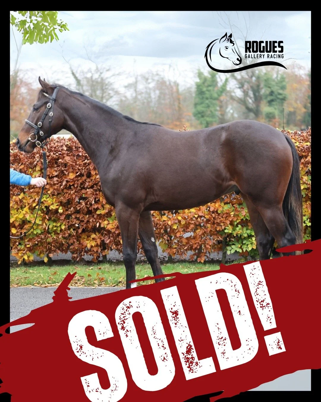 Rogues Gallery Racing