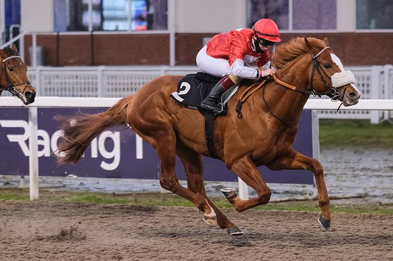 Race Gallery | Rogues Gallery Racing — Rogues Gallery Racing