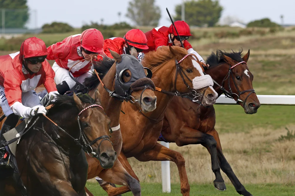 Rogues Gallery Racing