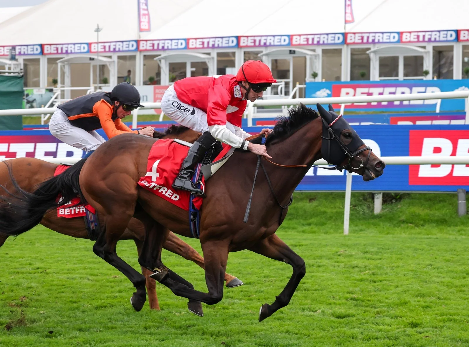 Past Performers | Rogues Gallery Racing's Past Horses — Rogues Gallery ...