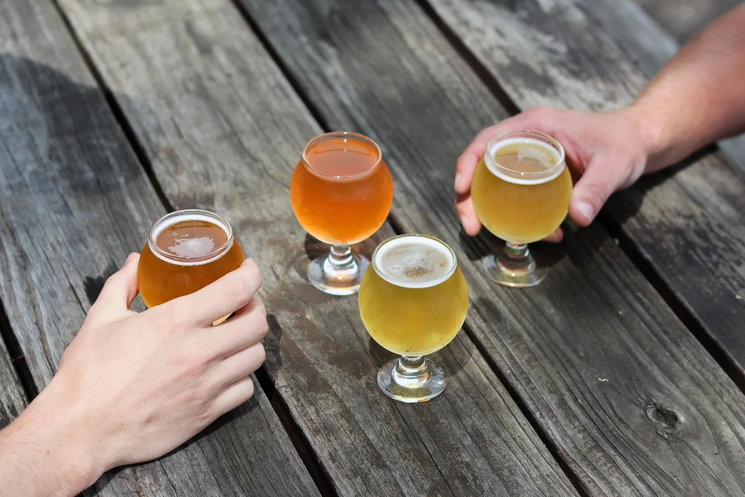 Wabasha Brewing Company | Discover Local Craft Beer Today